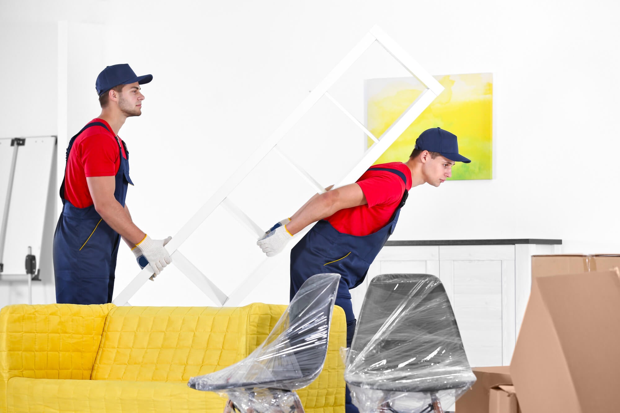 DIY vs. Professional Moving Solutions: Which Is Better? - Pink Zebra Moving
