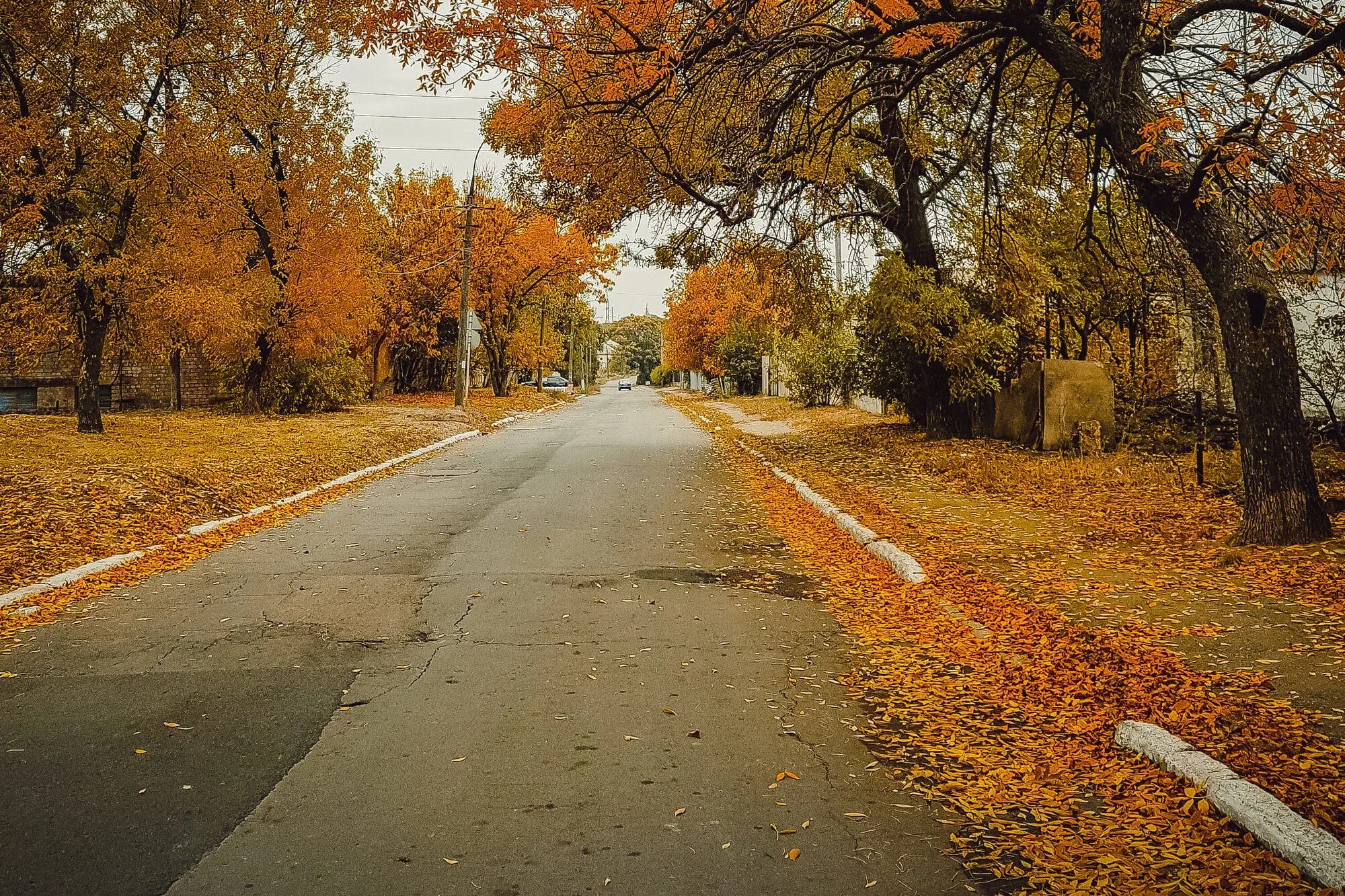 The Unique Challenges of Moving in Autumn