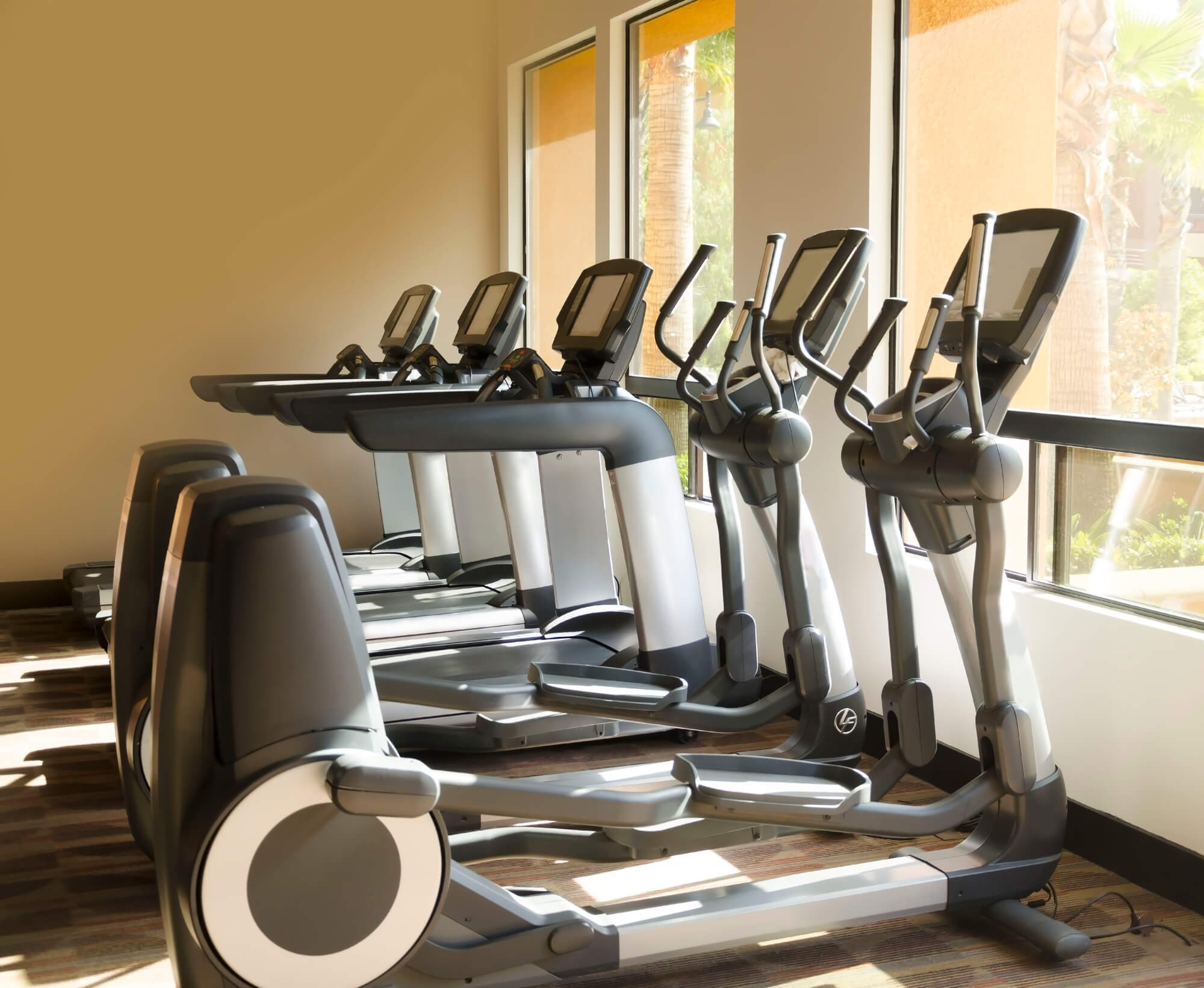 How to Move Gym Equipment with Ease - Pink Zebra Moving